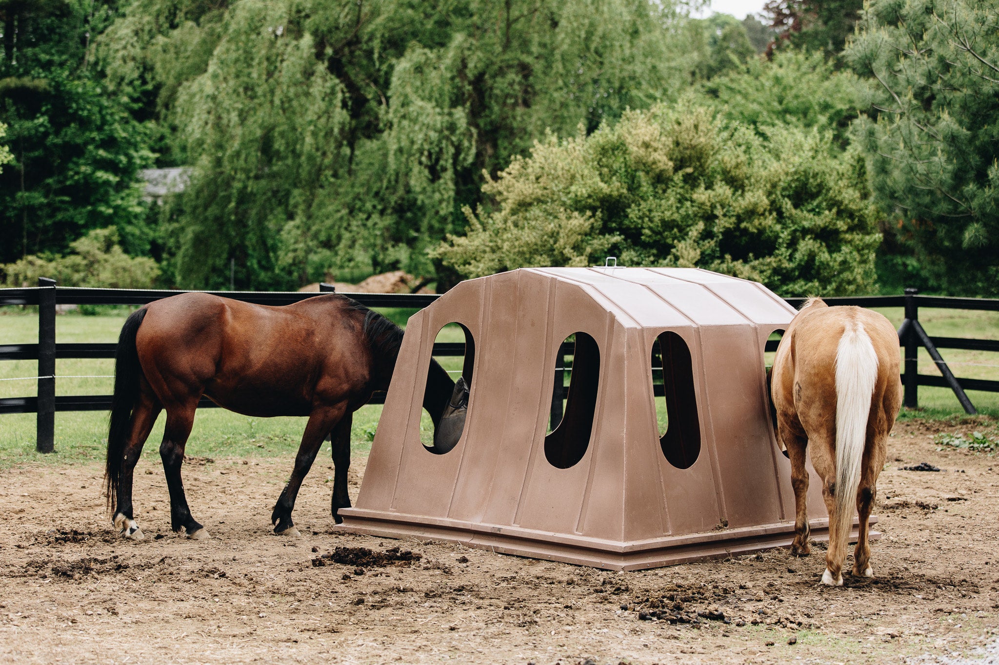 Hay Bonnet | Cloverbrook Farm